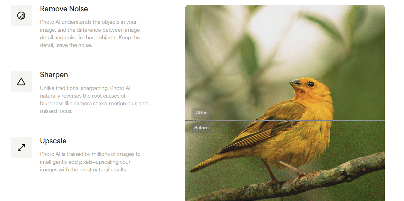 AI Photography Plugins: Unlock Stunning Creative Potential